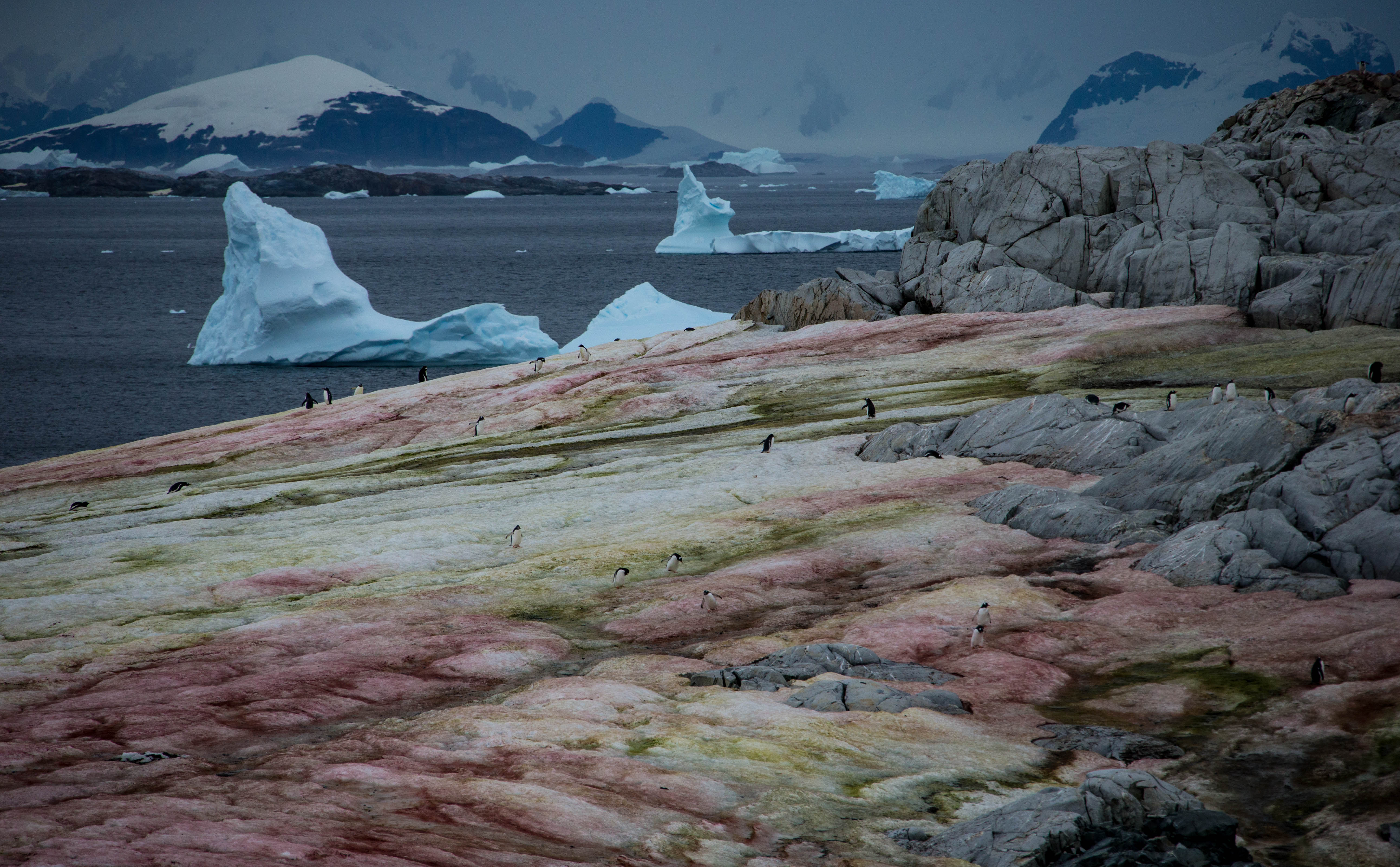 D53Q0502 – Shell Climate Change