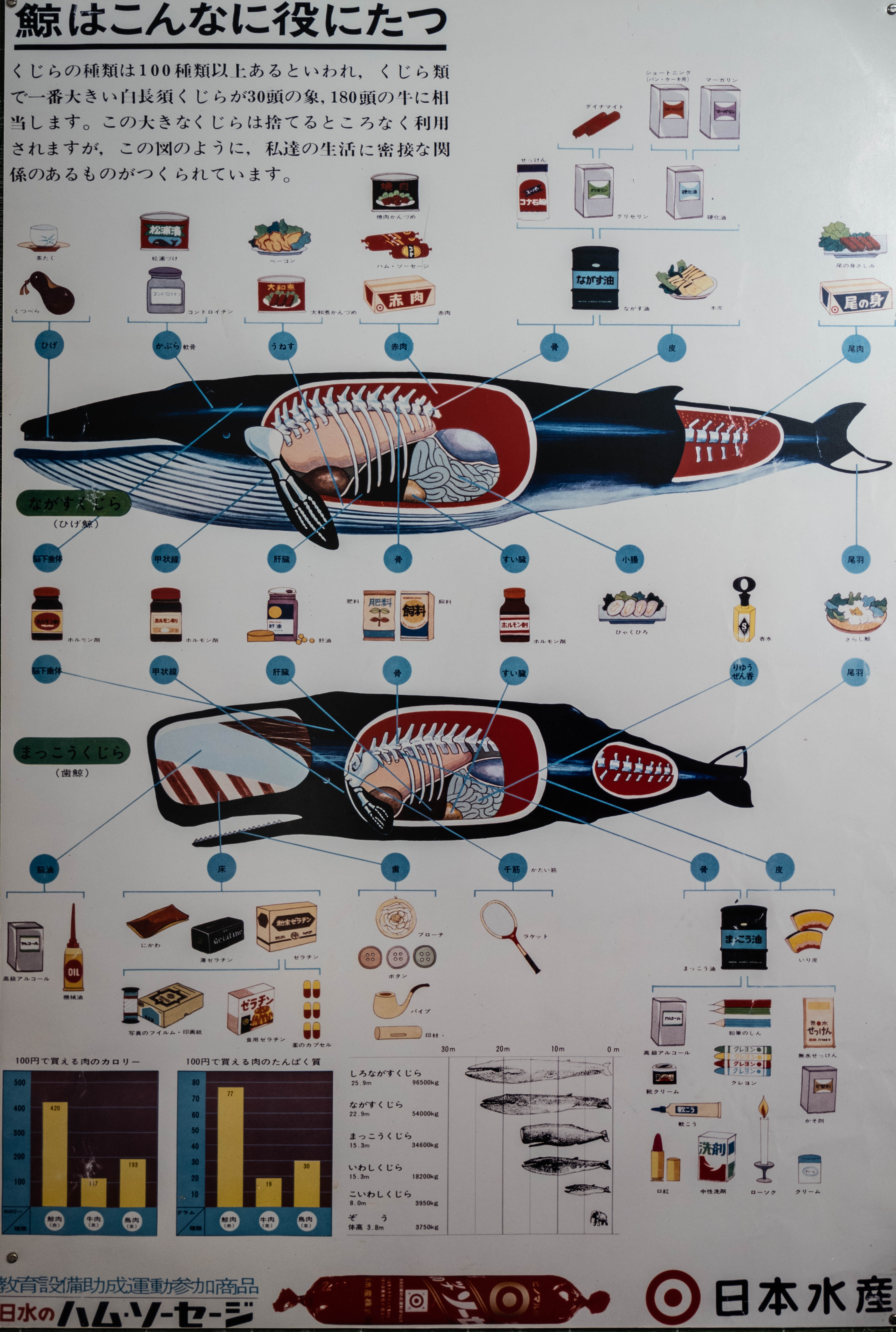 L1000293 – Shell Climate Change