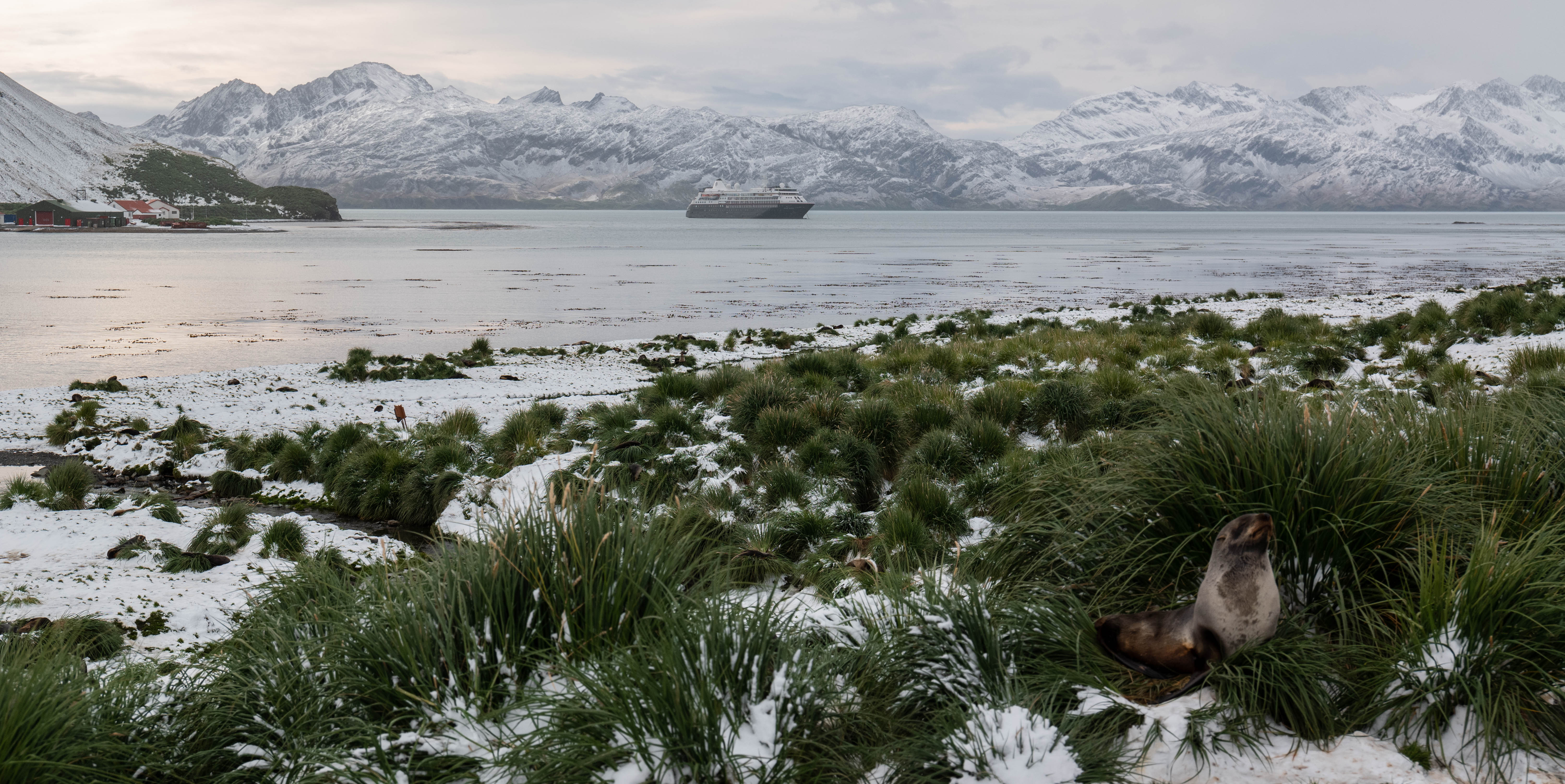 L1000316 – Shell Climate Change